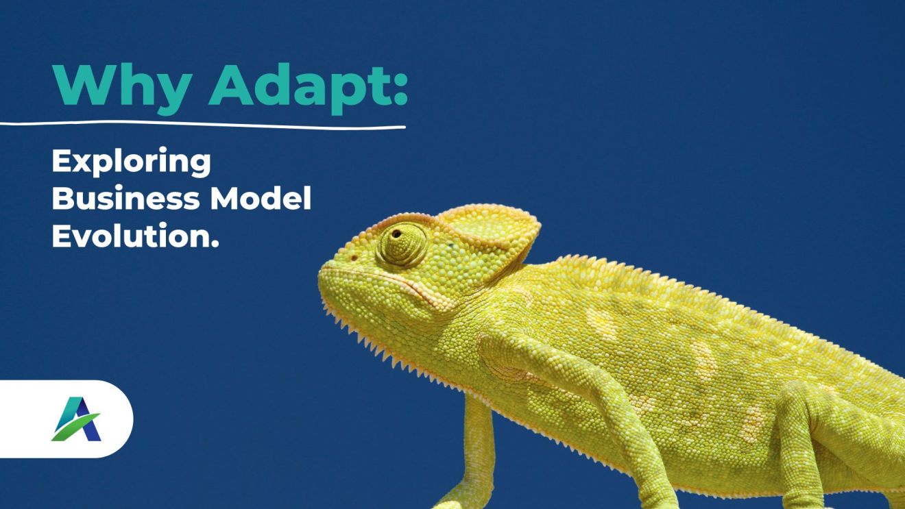 Why Adapt: Exploring Business Model Evolution